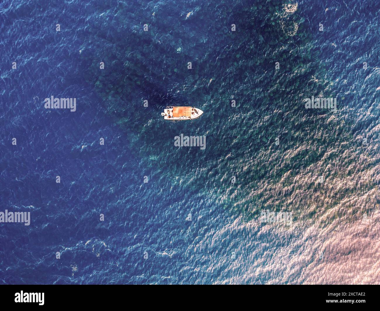 An aerial view of a boat above a large school of Munk's Devil Rays aka ...