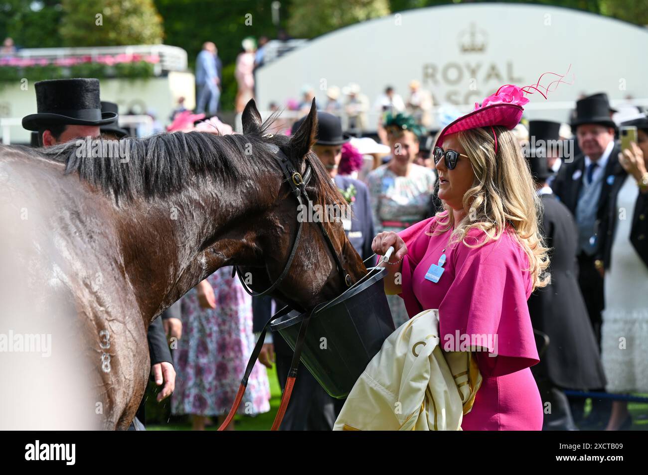 Ascot, UK. 18 June, 2024. Trainer Amy Murphy with Asfoora after winning ...