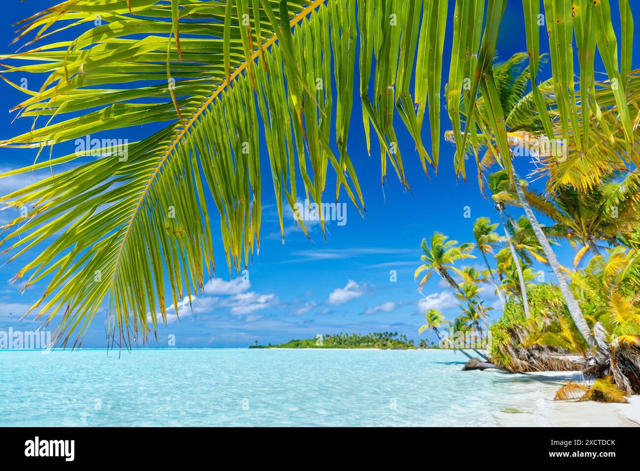 FRENCH POLYNESIA. TETIAROA ATOLL. THE FAMOUS ACTOR MARLON BRANDO ...