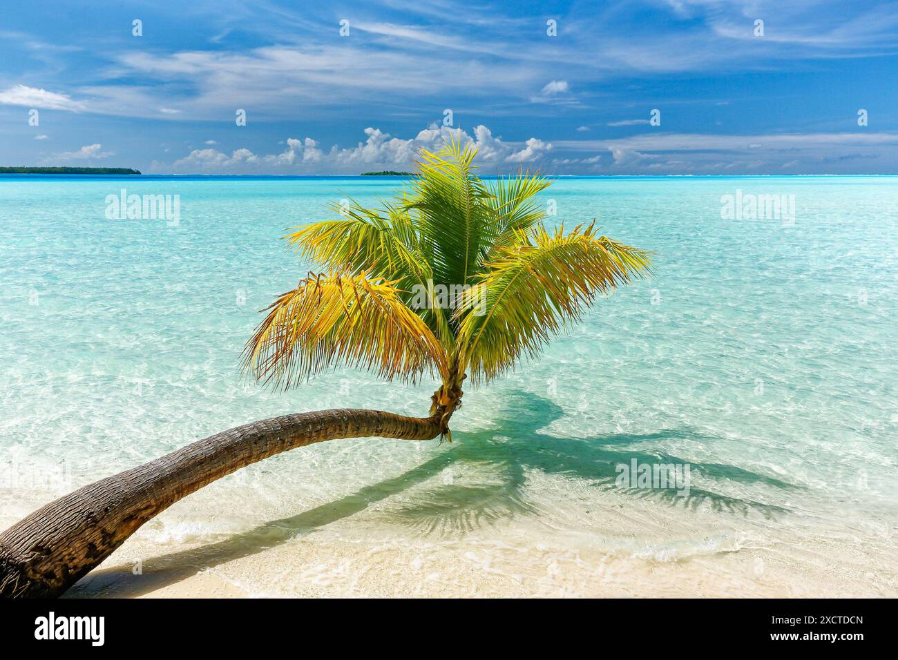FRENCH POLYNESIA. TETIAROA ATOLL. THE FAMOUS ACTOR MARLON BRANDO ...