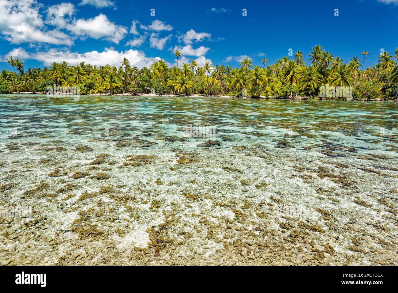 Tahaa island hi-res stock photography and images - Alamy