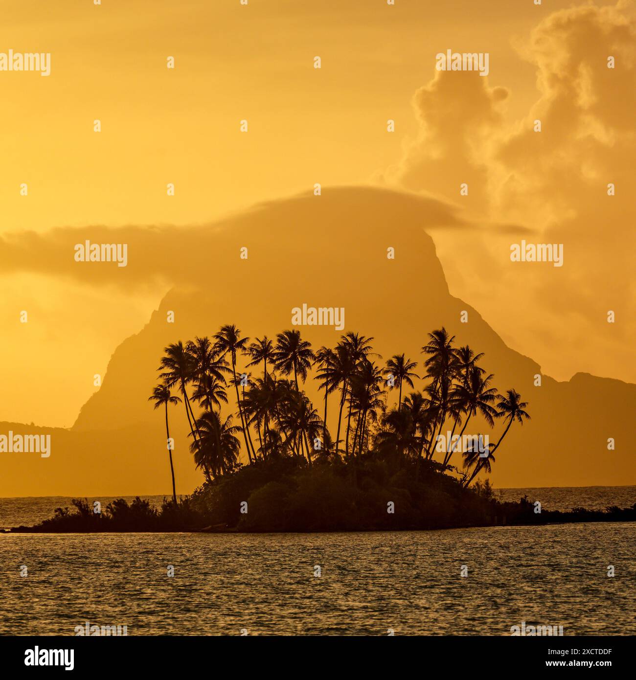 FRENCH POLYNESIA. TAHAA ISLAND. MOTU ON THE CORAL BARRIER. IN THE ...