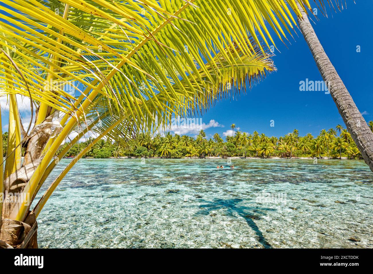 FRENCH POLYNESIA. TAHAA ISLAND Stock Photo - Alamy
