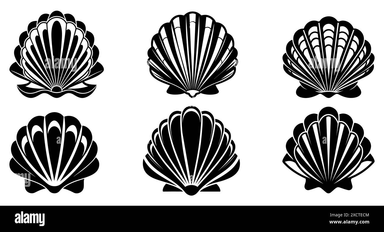Sea shell icon. Set of pearl shell icons. Vector illustration. Shell ...