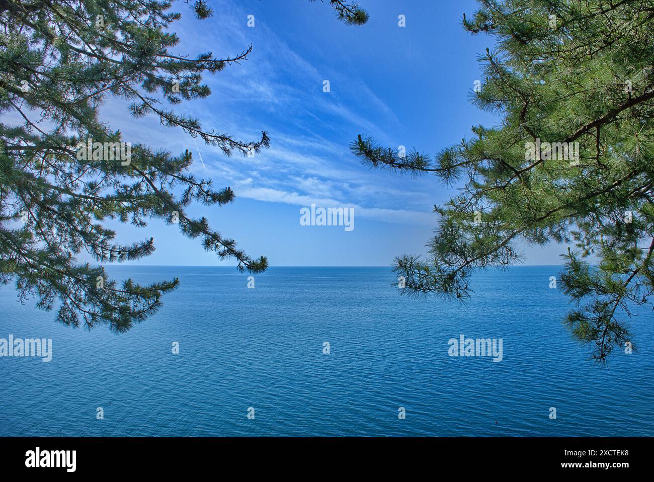 Blue tree trees waters hi-res stock photography and images - Alamy