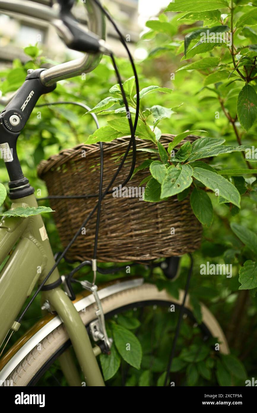 Recycle sustainable living hi-res stock photography and images - Alamy