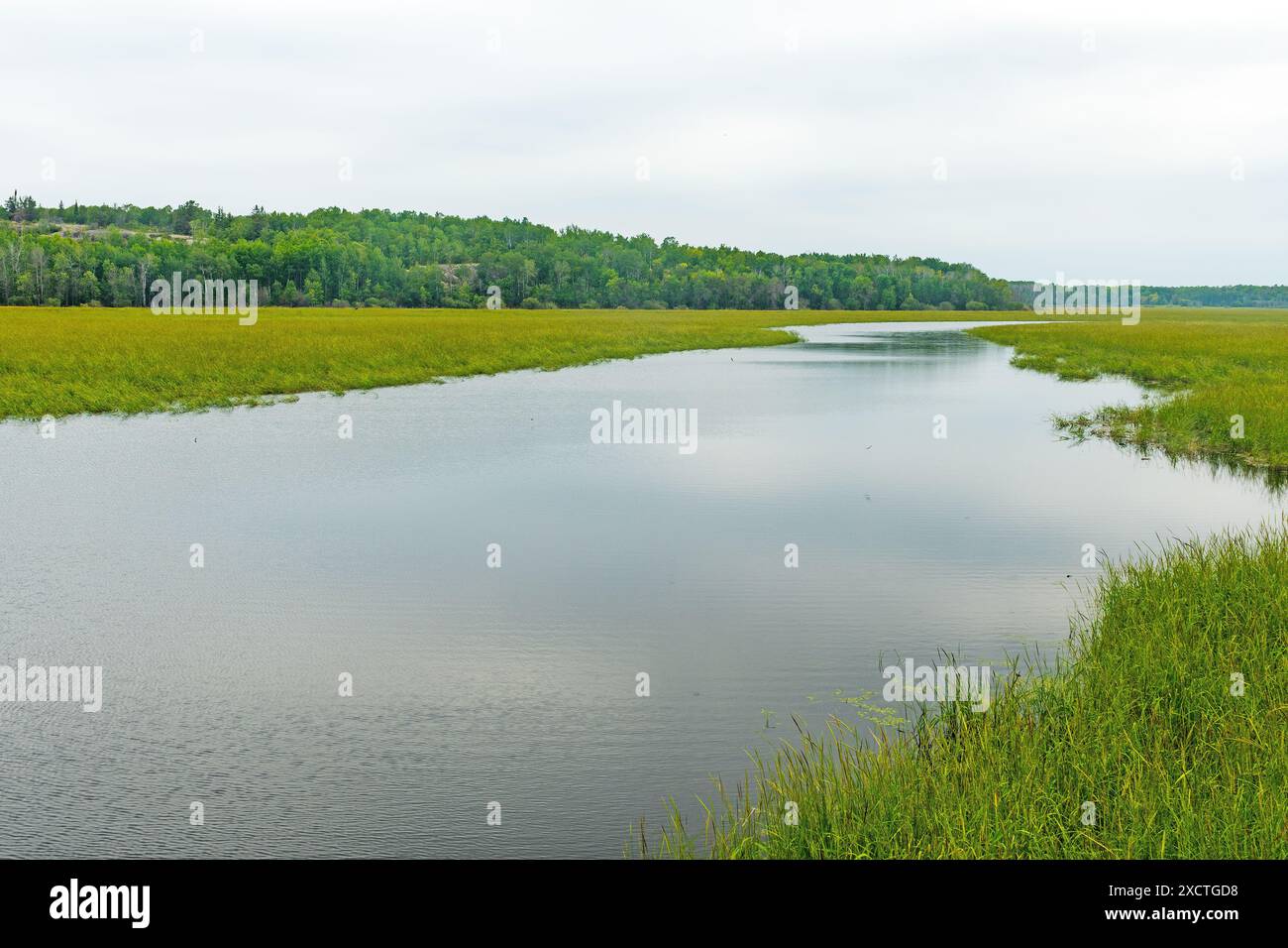 Quiet Channel Through a Reed Filled Lake on Heart Lake in Whitesell ...