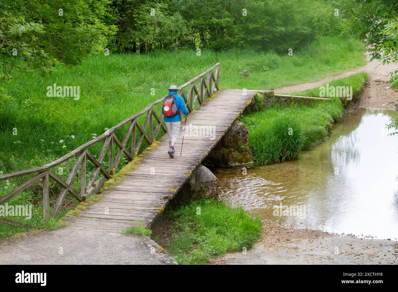 Pilgrim walking over a wooden footbridge passing through the Spanish ...