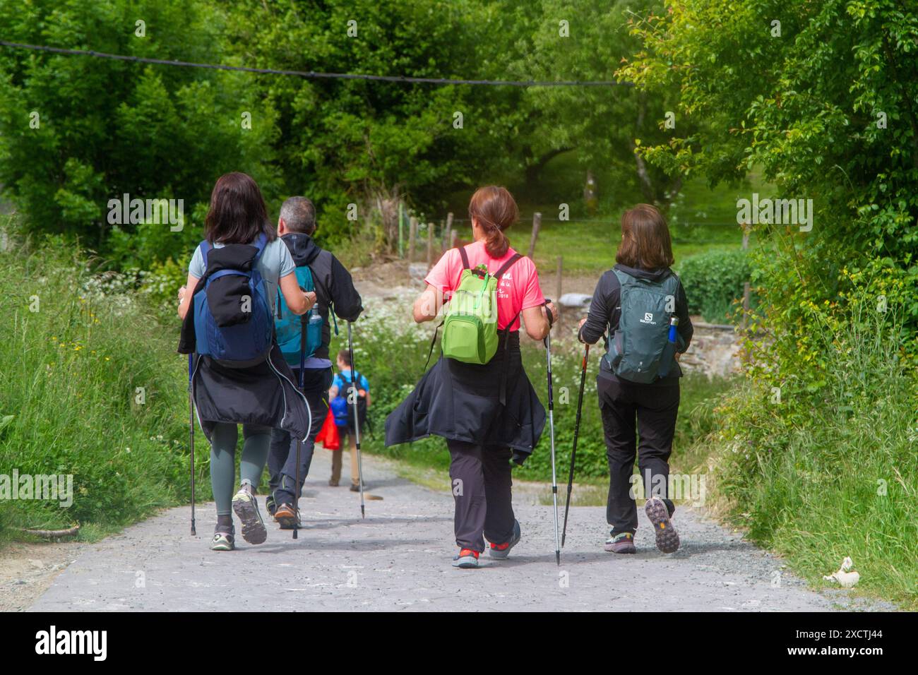 Pilgrims approaching the Spanish village of Viskarret while walking the ...