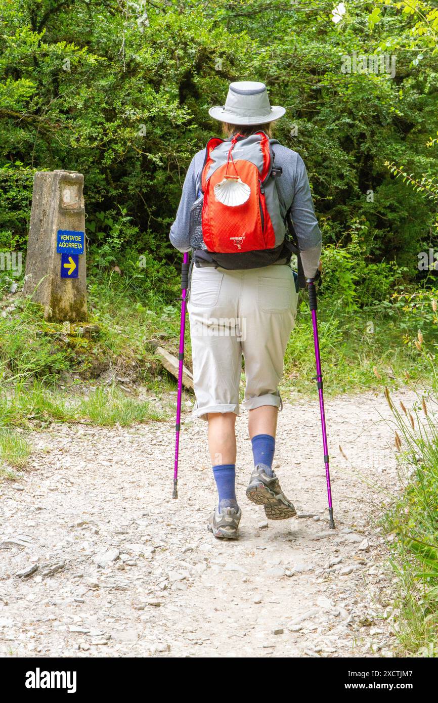 Woman pilgrim approaching the Spanish village of Zubiri after walking ...
