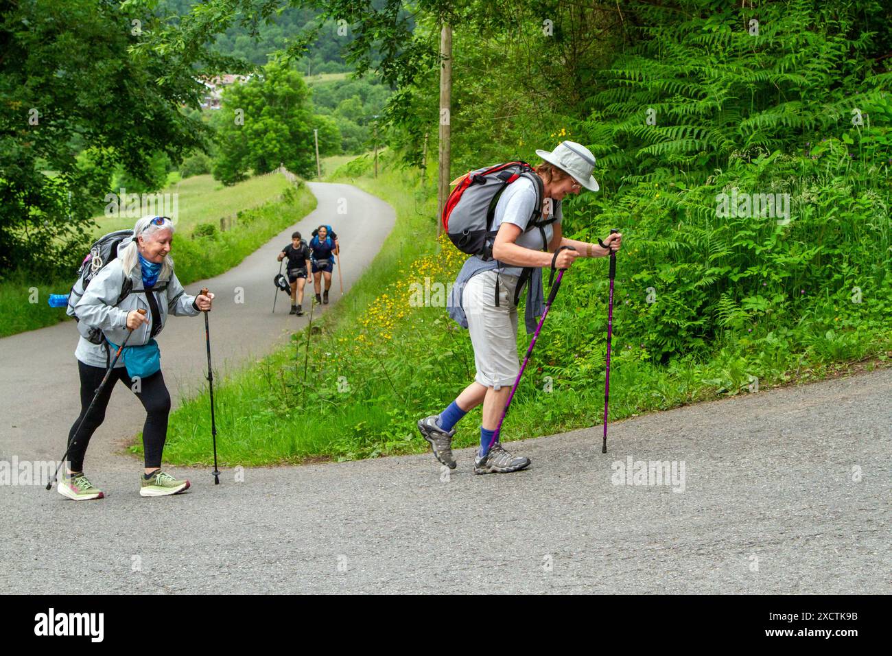 Pilgrims walking over the Pyrenees on the first stage of the route ...