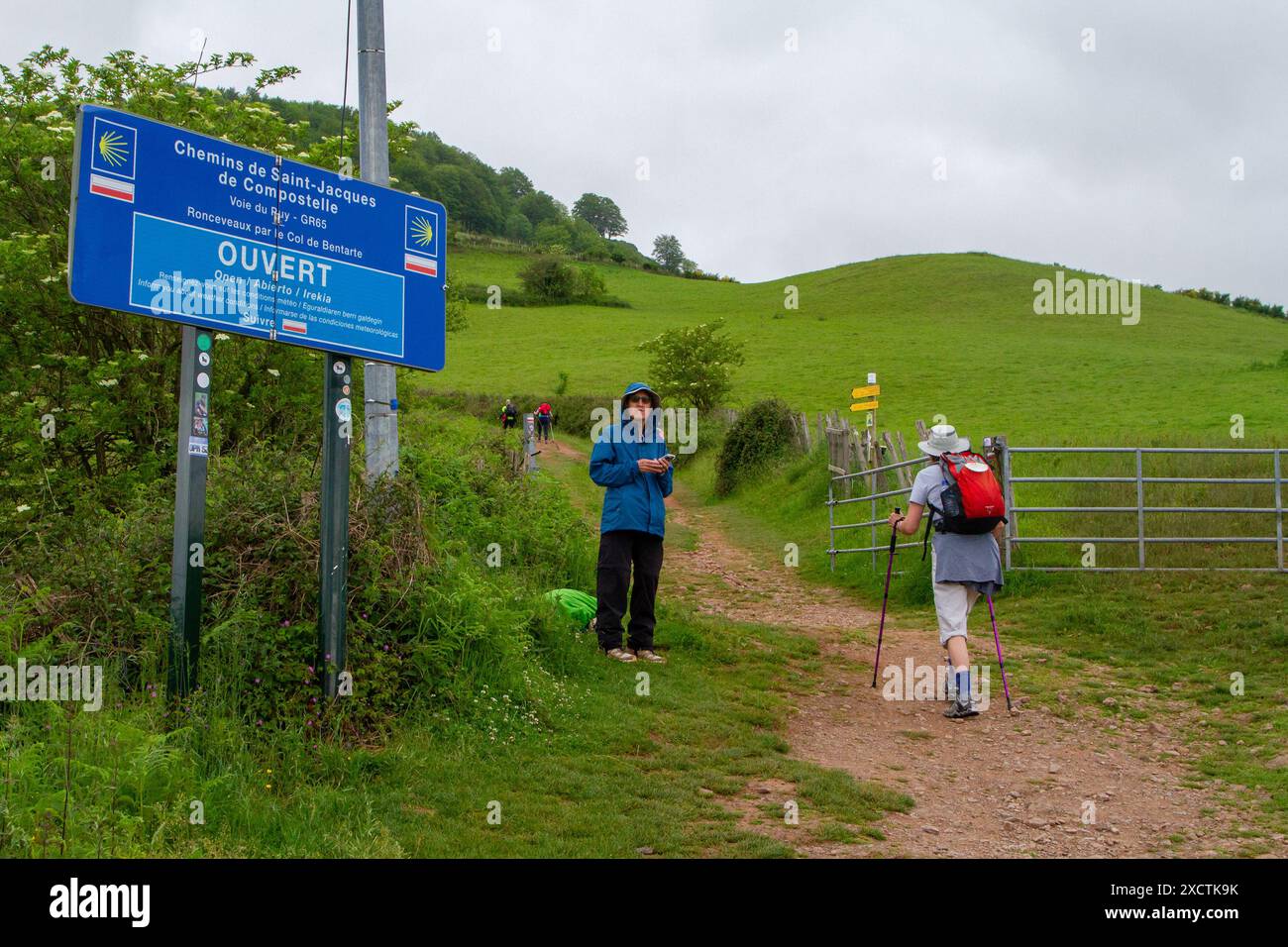 Pilgrims walking over the Pyrenees on the first stage of the route ...