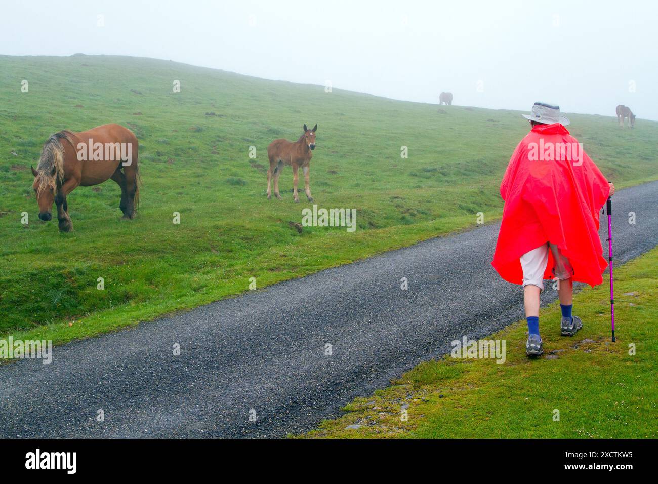 Pilgrim walking over the Pyrenees in wet and foggy weather wearing a ...