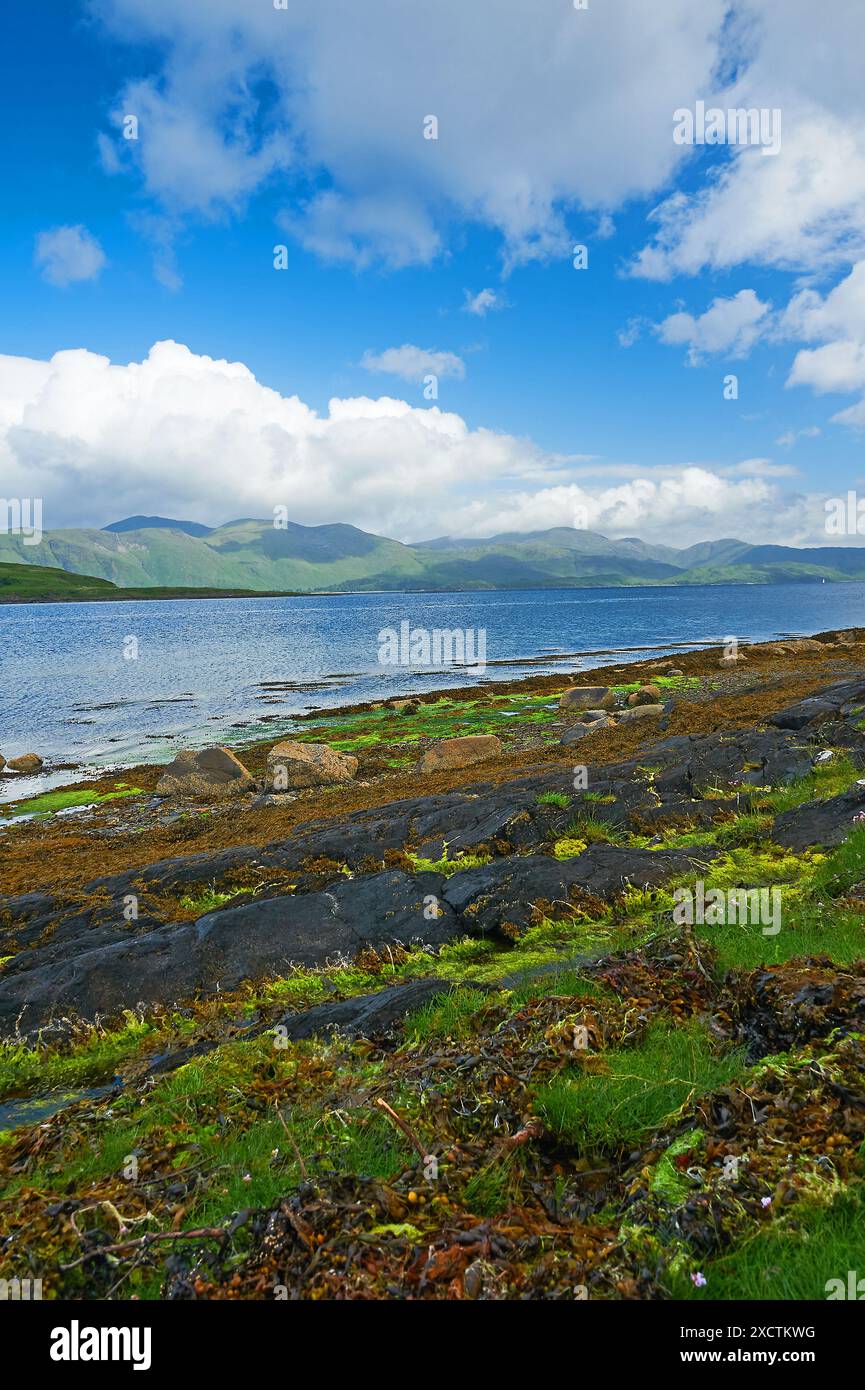 Sea loch, Loch Linnie at low tide with a view across to Garth Bheinn ...
