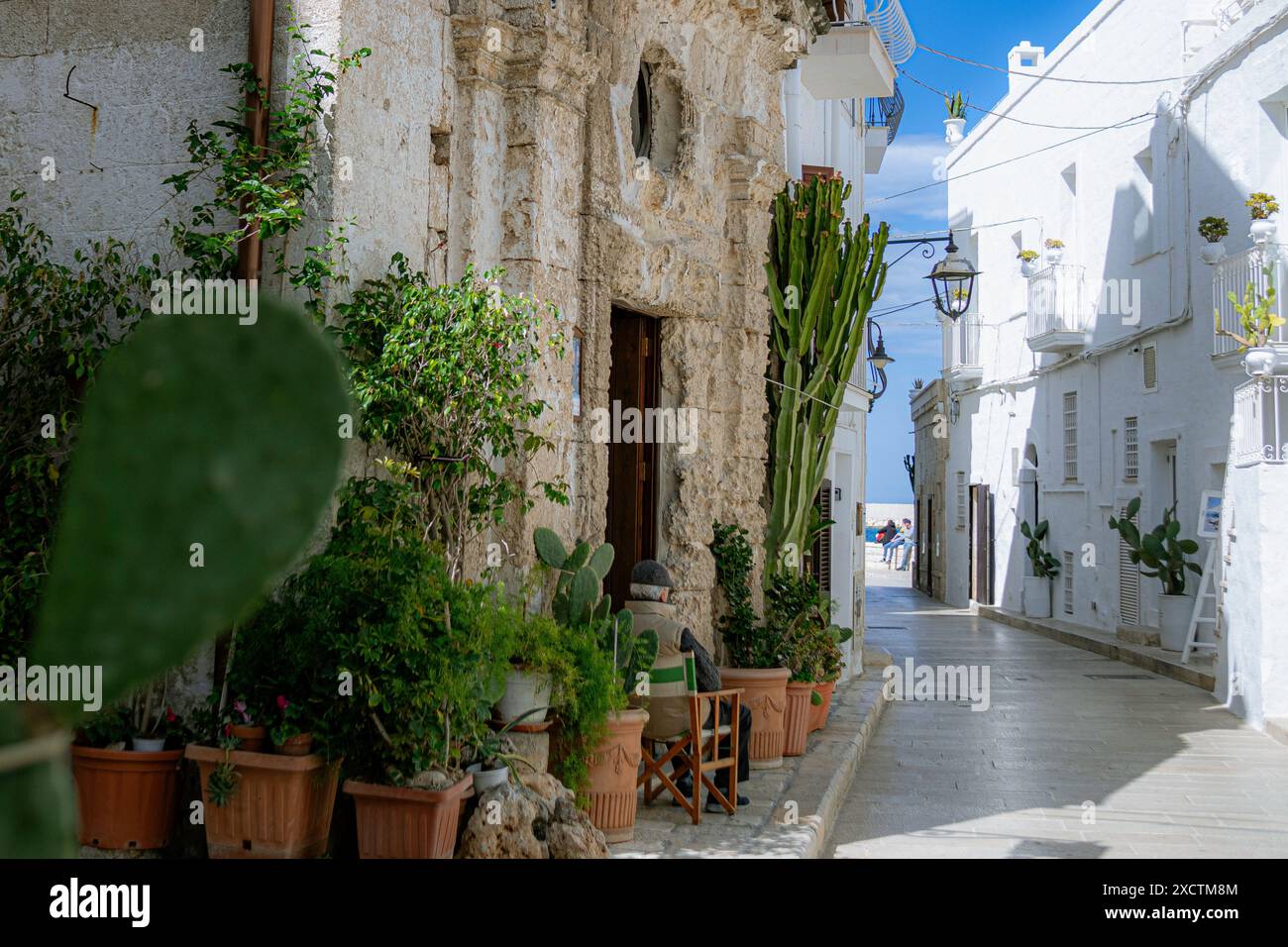 beautiful white streets, flowers and mediterranean architecture of ...