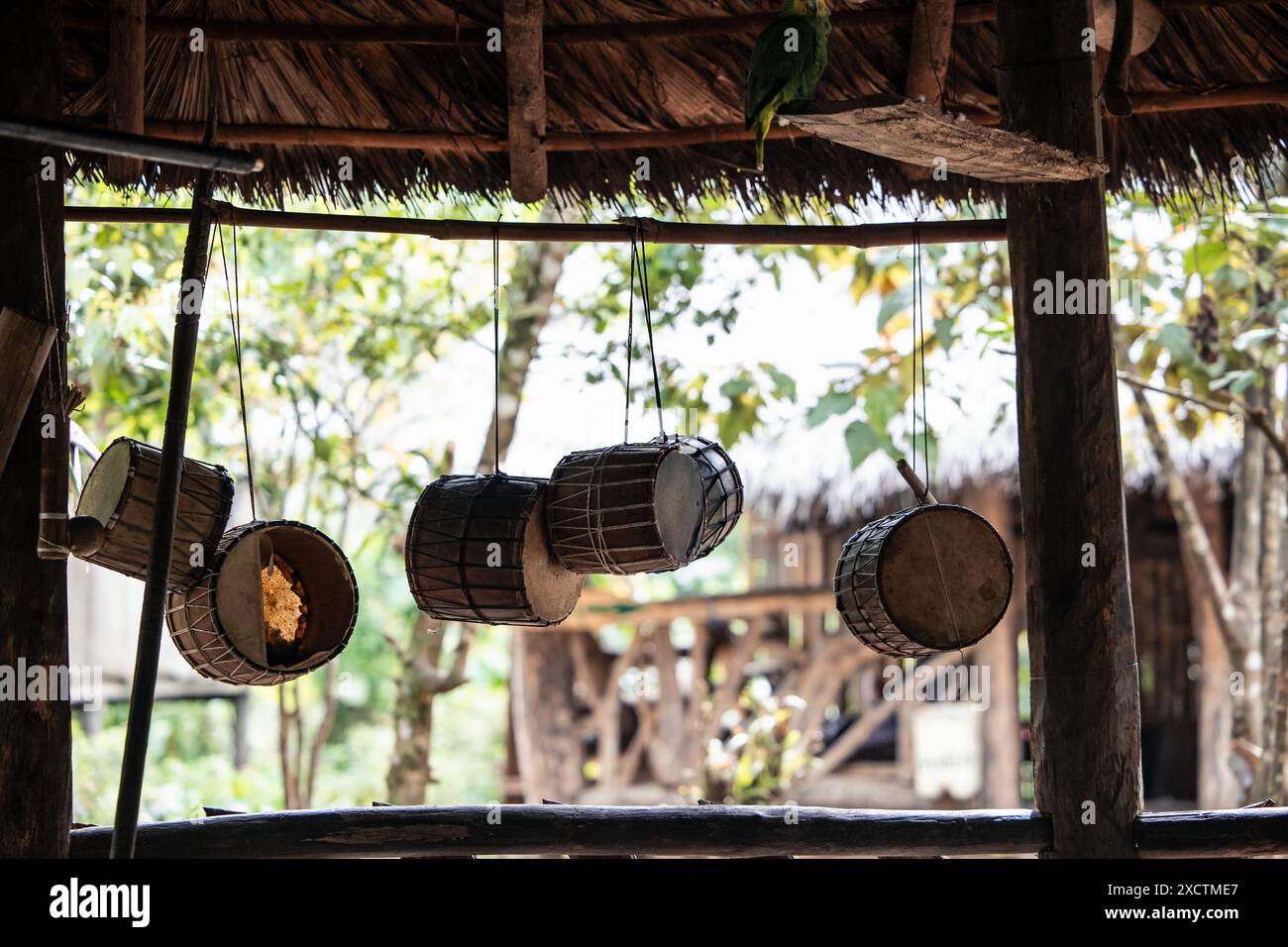 Traditional shamanic drums of the Wayuri indigenous tribe hanging from ...