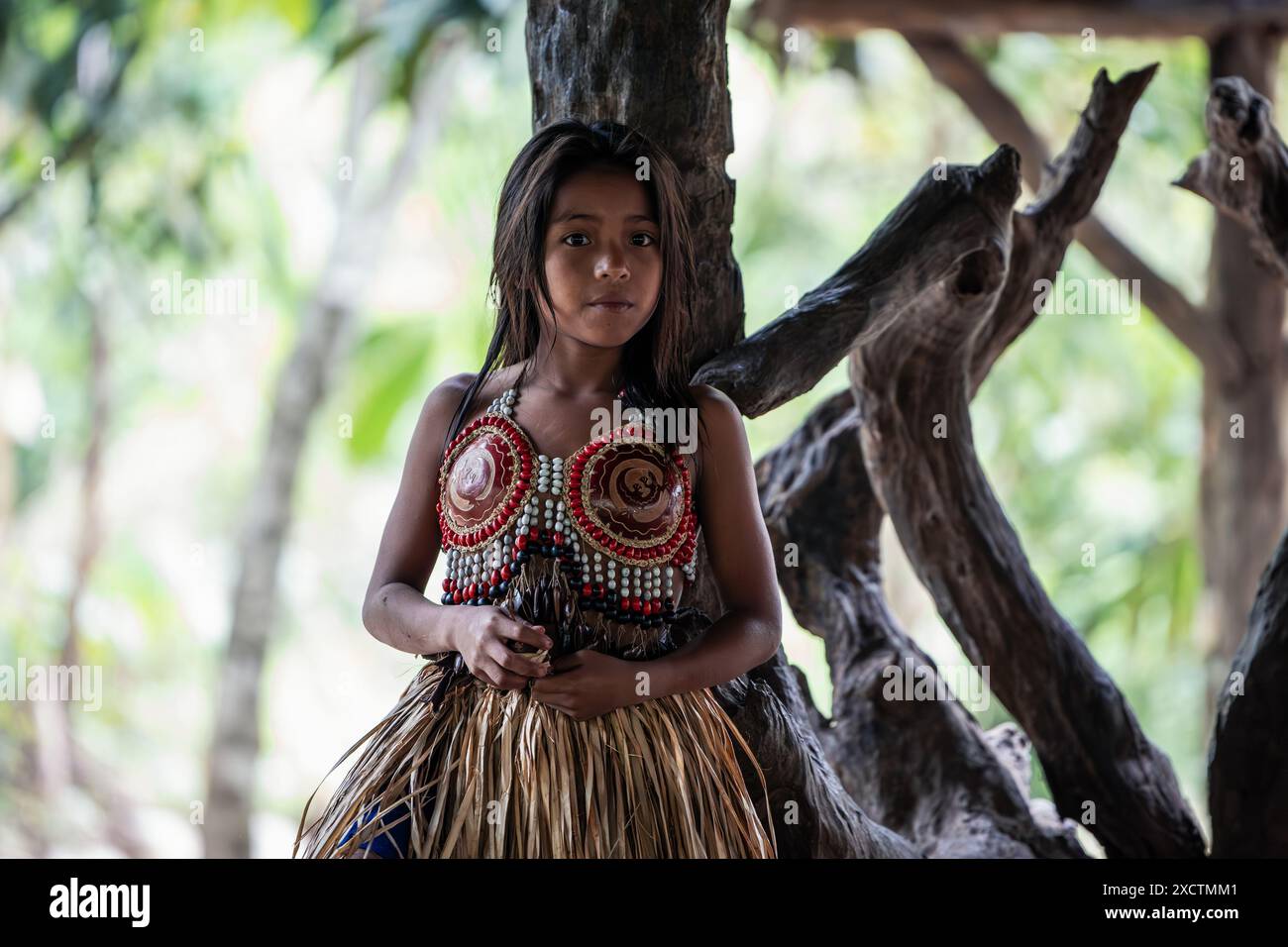 young Wayuri indigenous girl, dressed in her traditional attire, looks ...