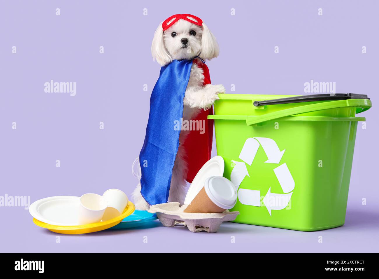 Cute little dog in eco superhero costume with trash bins and garbage on ...
