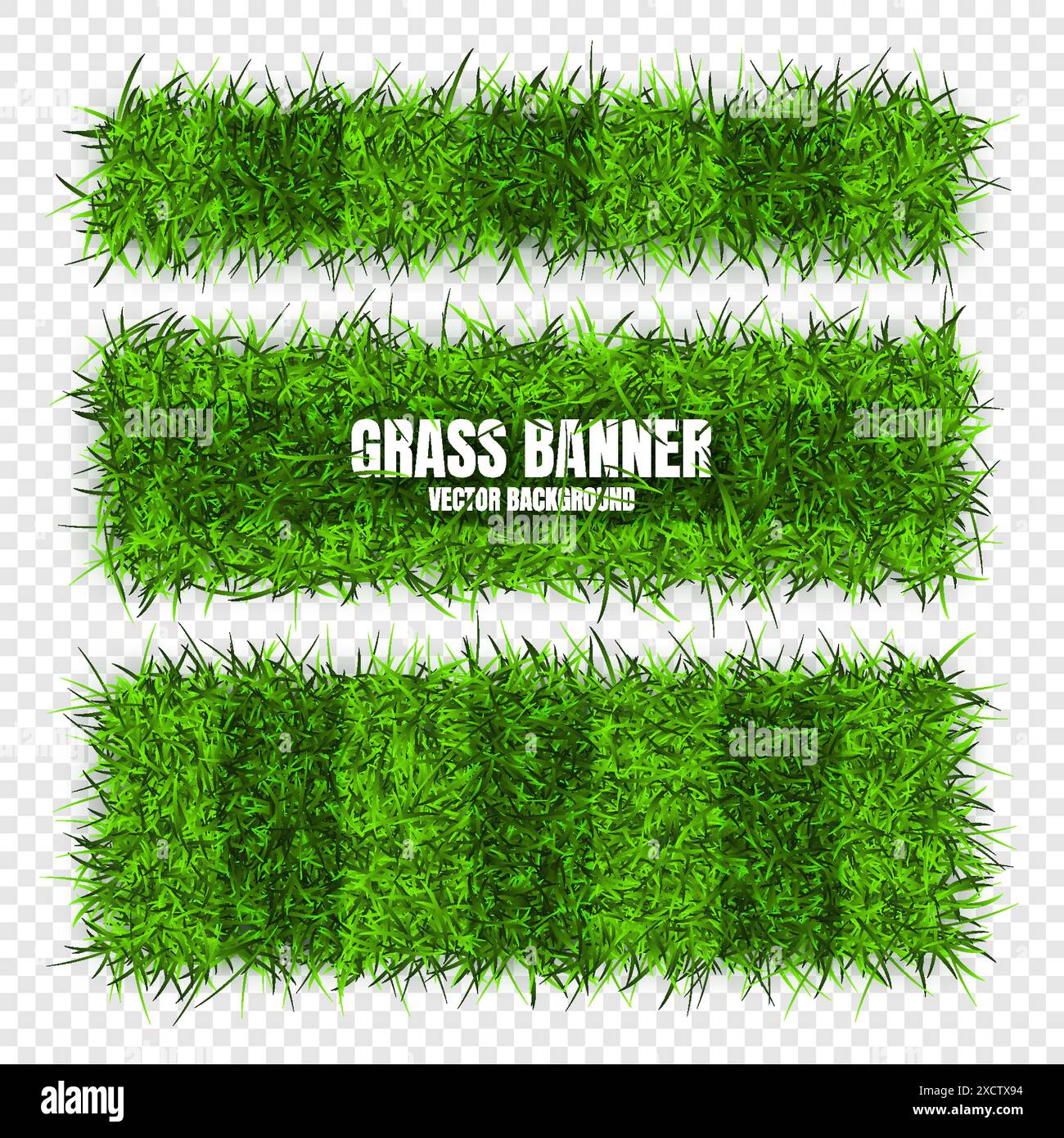 Green grass banners, background. Field, meadow texture, grassy ...