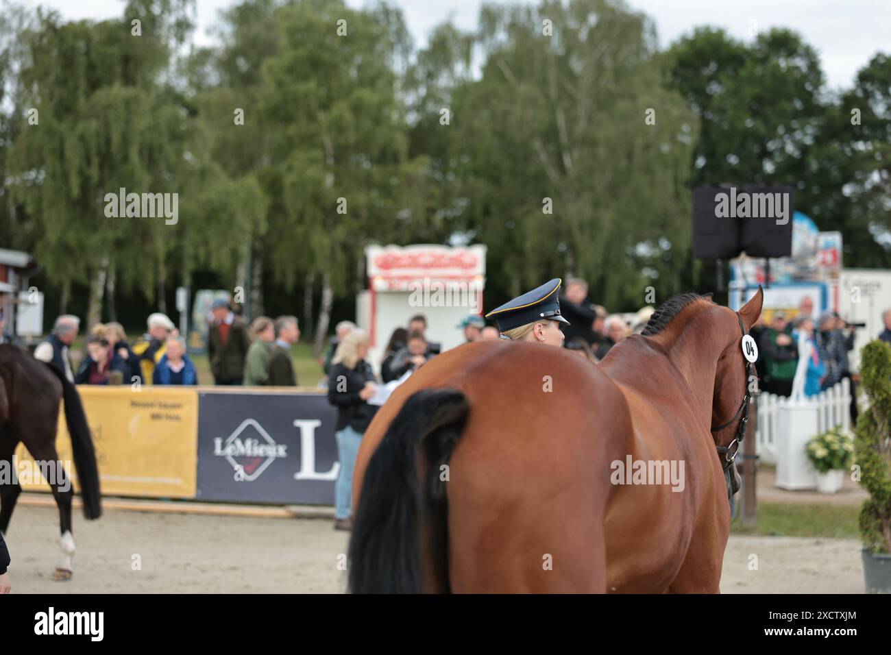 Libussa Lübbeke of Germany with Caramia 34 during the CCI5* second ...