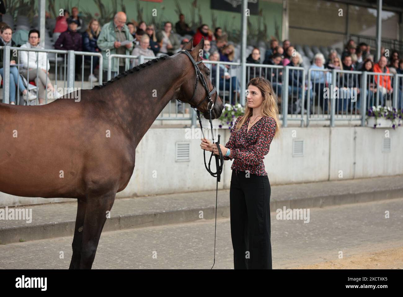 Julie Simonet of France with Sursumcord'Or during the CCI5* second ...