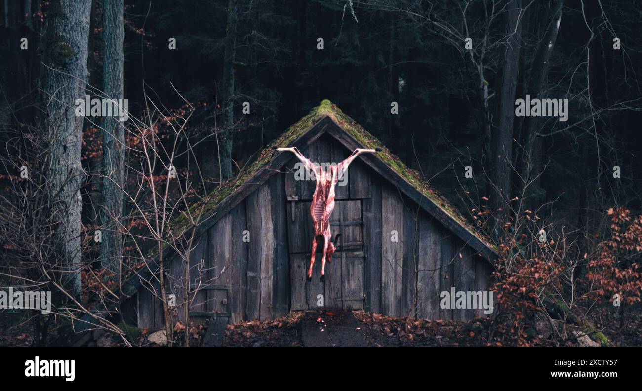 THE DEVIL'S BATH, (aka DES TEUFELS BAD), 2024. © Shudder /Courtesy ...