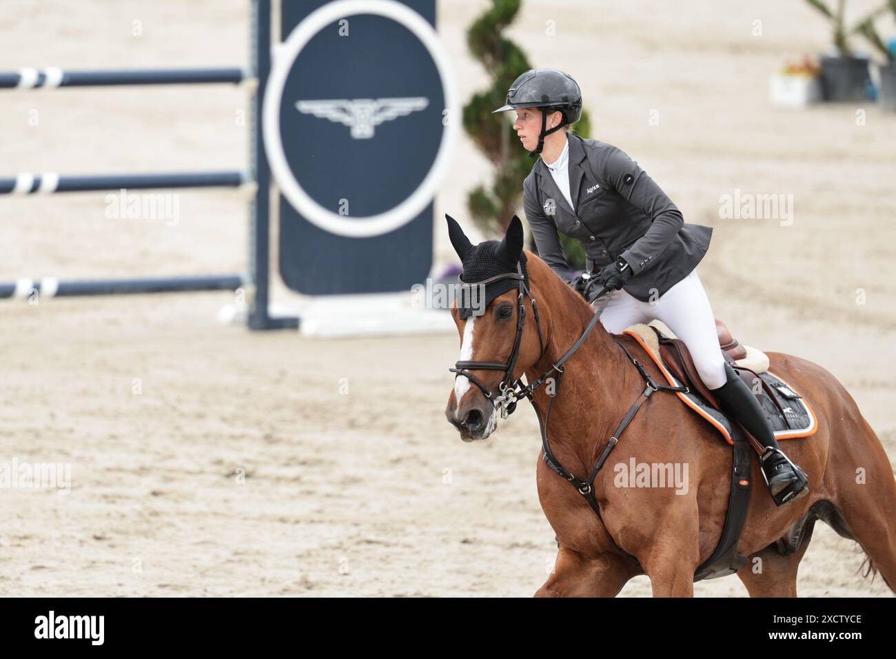 Sandra Auffarth of Germany with Viamant Du Matz during the CCI4*-S ...