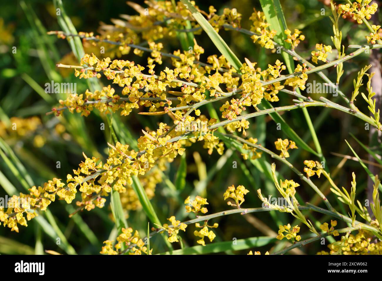 Albanien kroatien hi-res stock photography and images - Alamy
