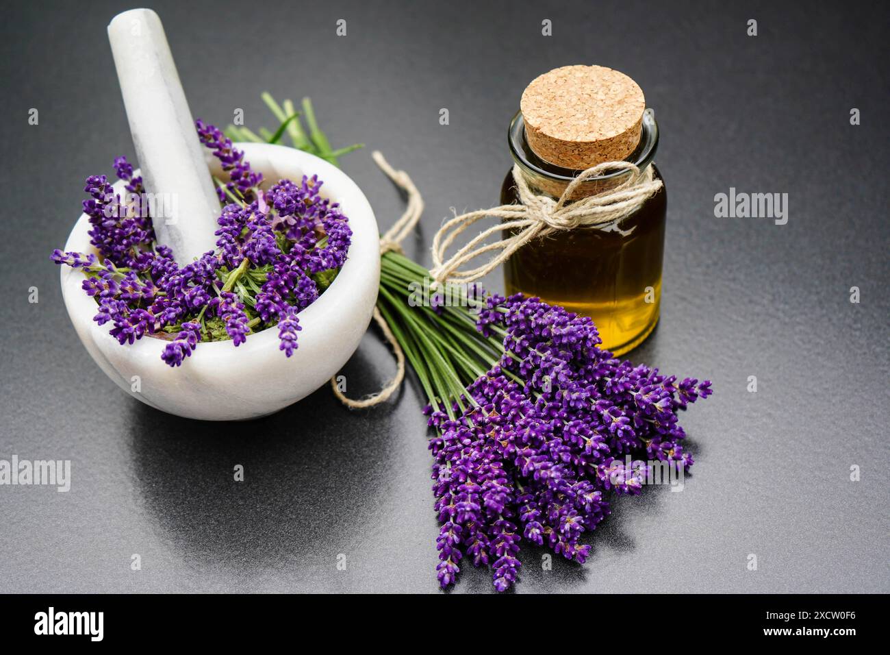 English lavender (Lavandula angustifolia, Lavandula officinalis ...