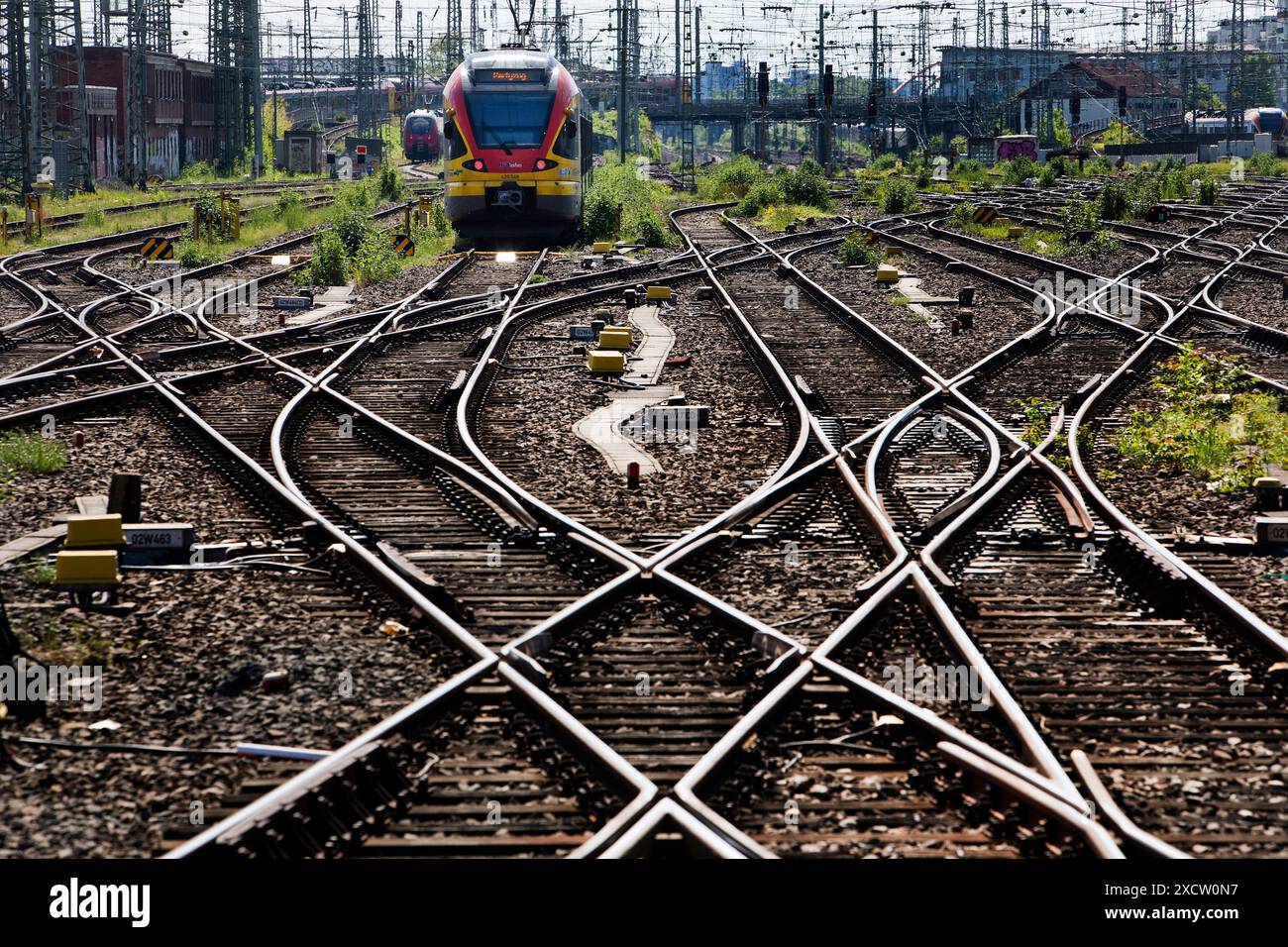 railway tracks and a local train at the main station, Germany, Hesse ...
