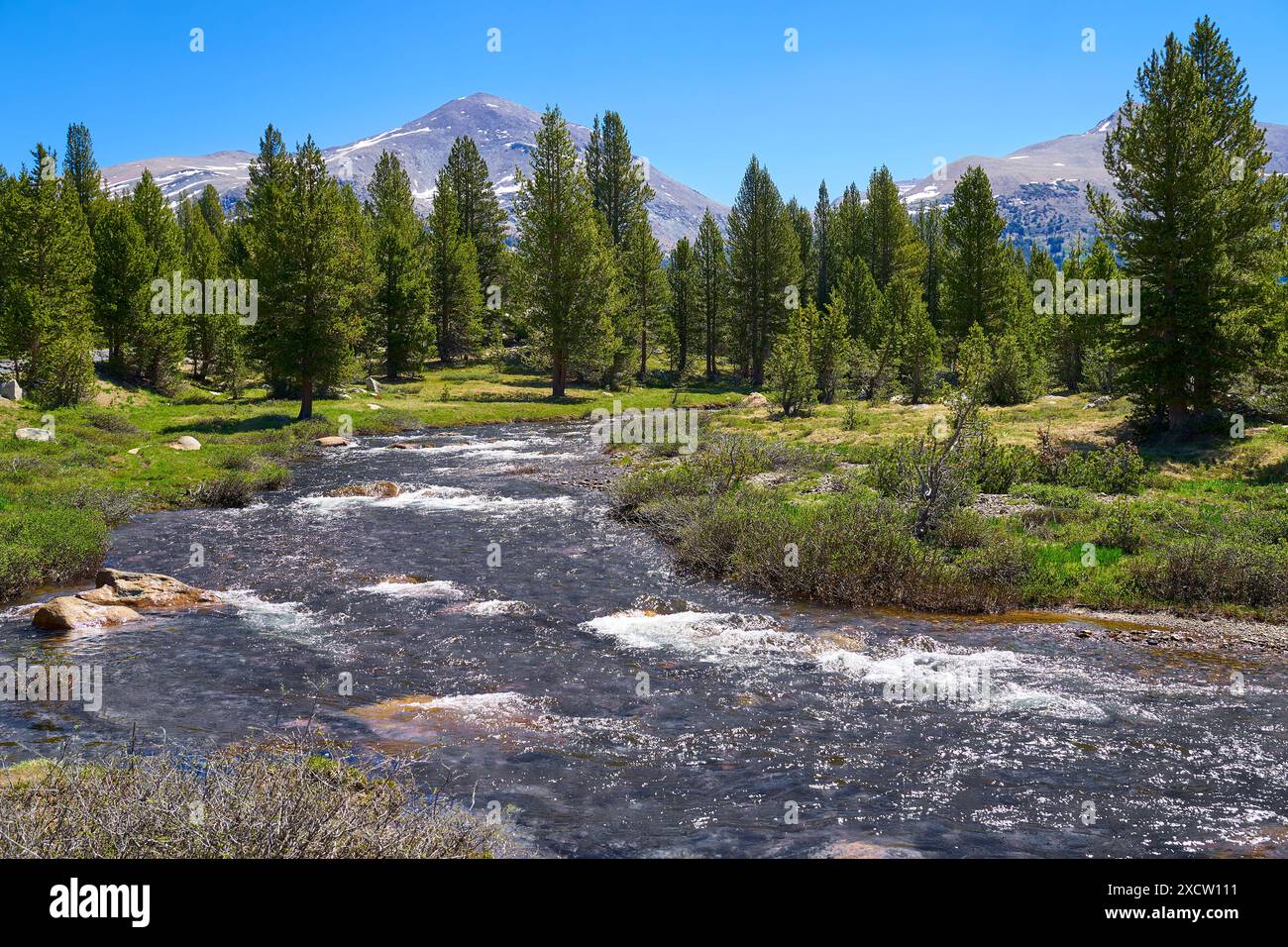 Yosemite National Park, California, United States of America - June 11 ...