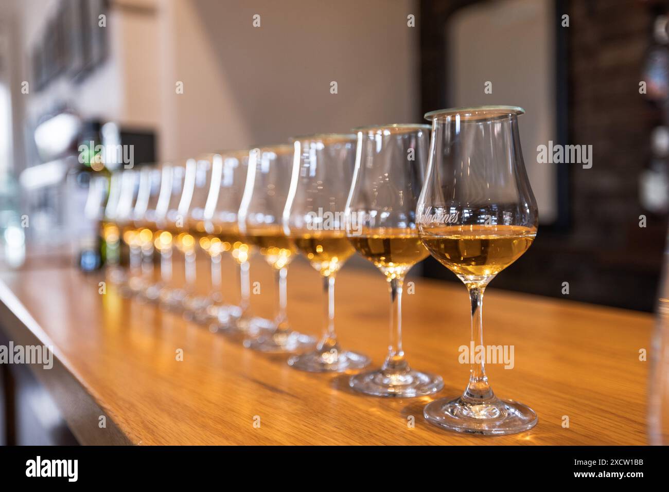 Row of whisky glasses with whisky in them at a whisky distillery tour ...