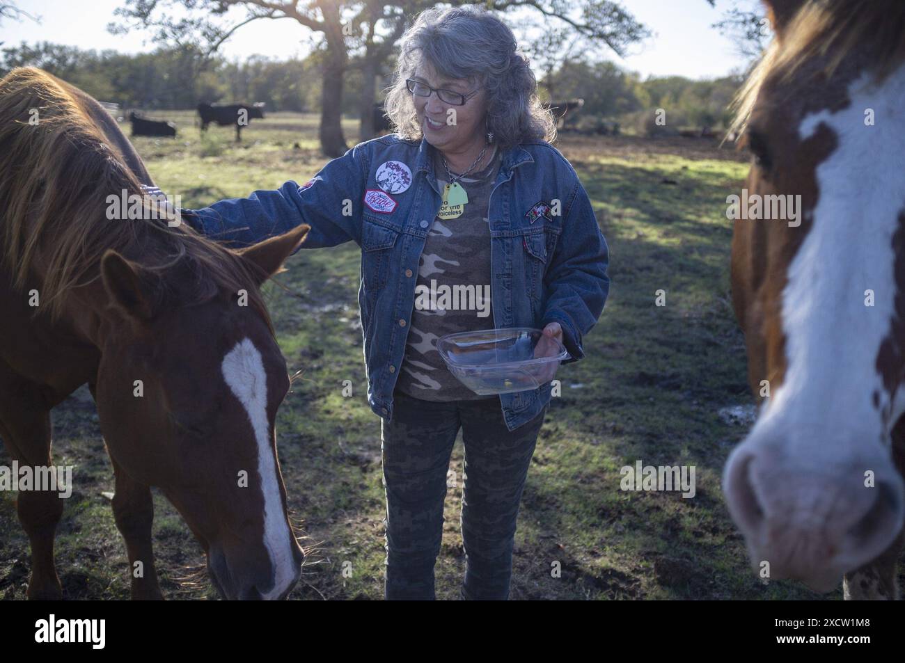 ROWDY GIRL, Renee King-Sonnen, with horses, 2023. © Argot Pictures ...