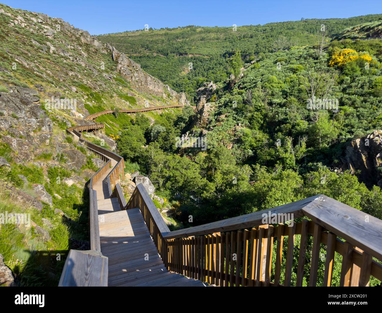 Lush green hills cradle a scenic wooden walkway under a clear blue sky ...