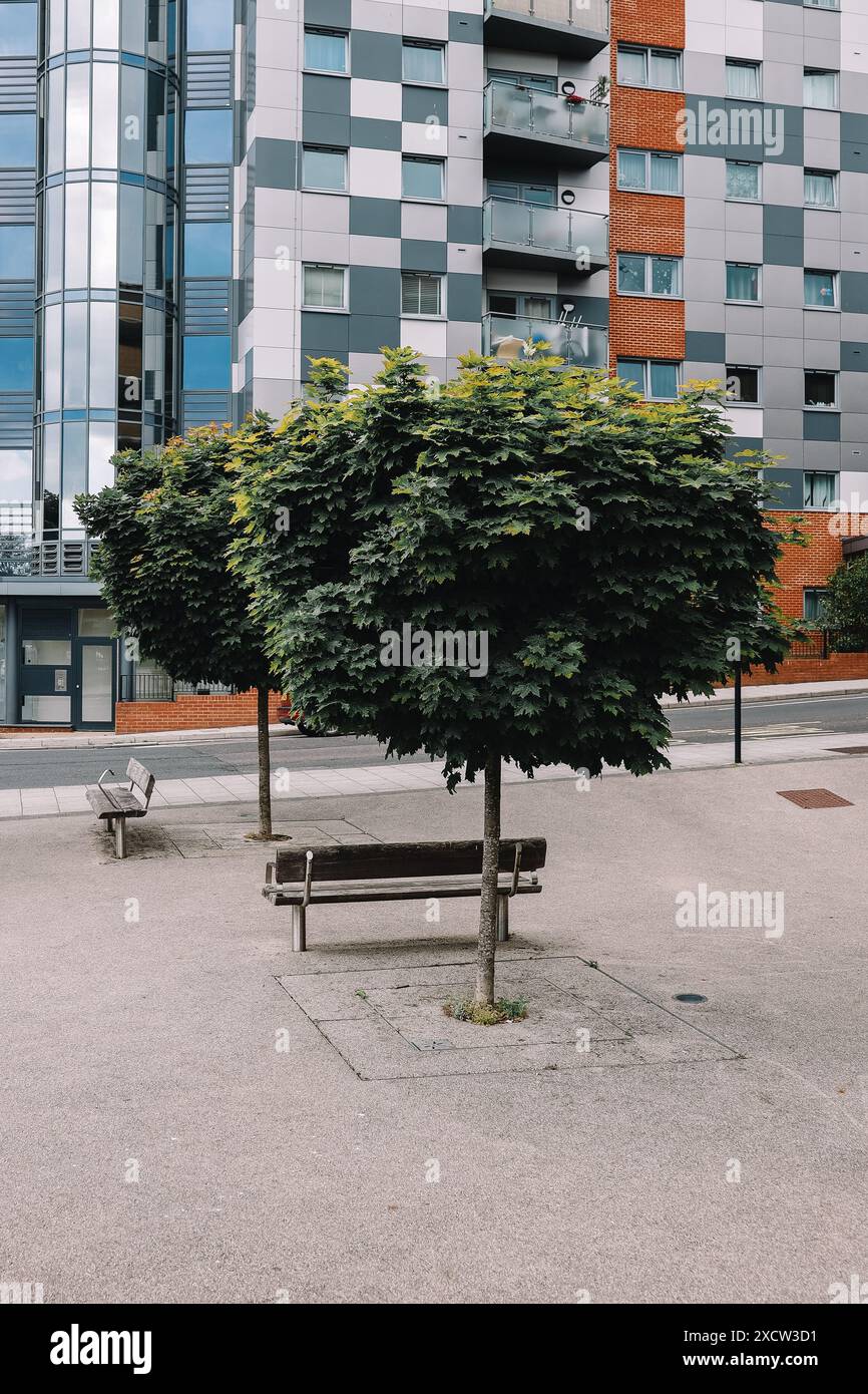 Urban park scene with trees and benches in front of a modern ...