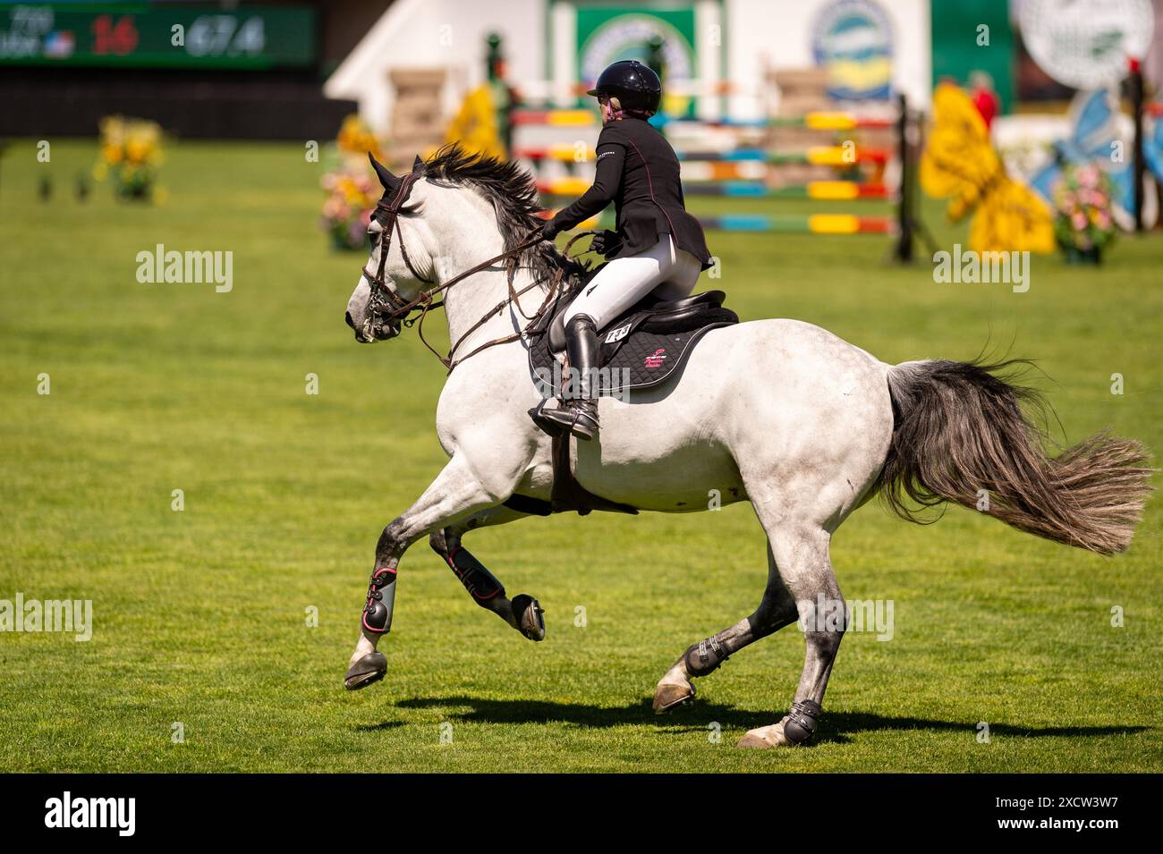 Top level equestrian sport at Spruce Meadows in Calgary Stock Photo - Alamy