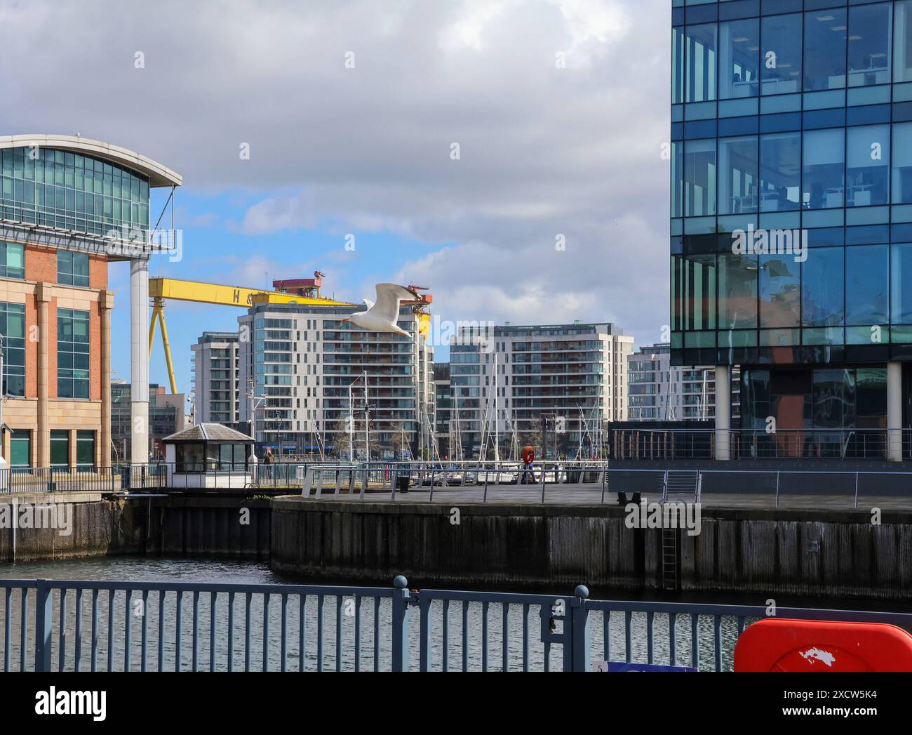 modern Belfast buildings offices and residential in Belfast Harbour ...