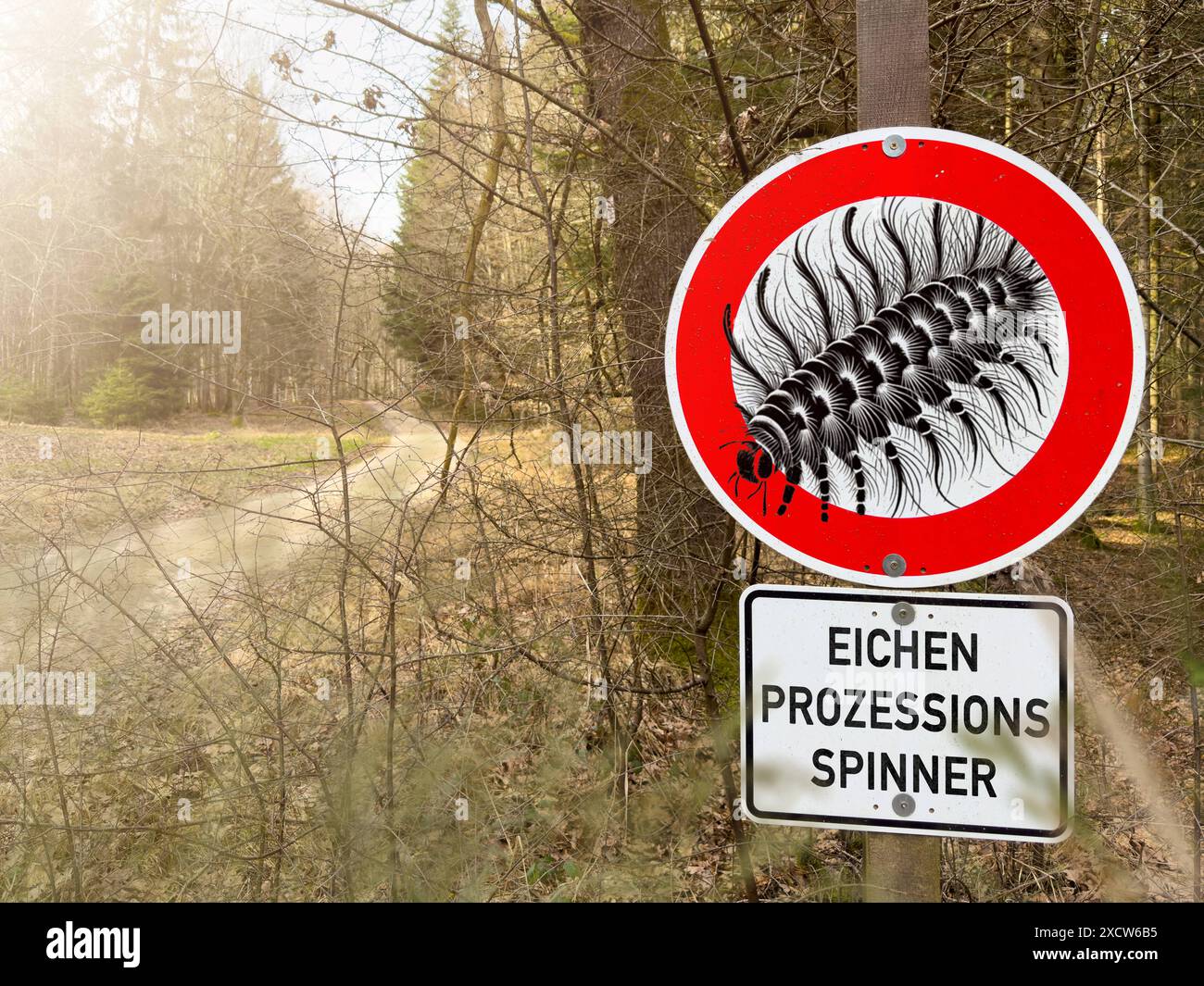 Raupengift hi-res stock photography and images - Alamy