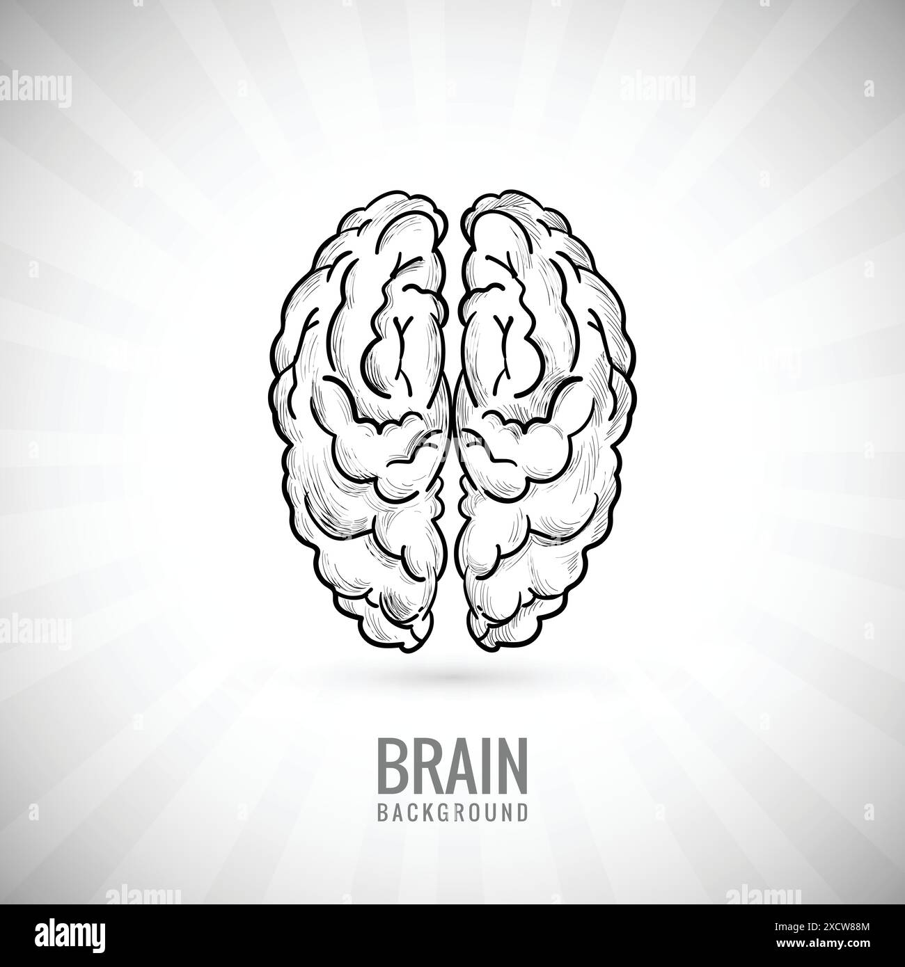 Hand draw brain sketch background Stock Vector Image & Art - Alamy