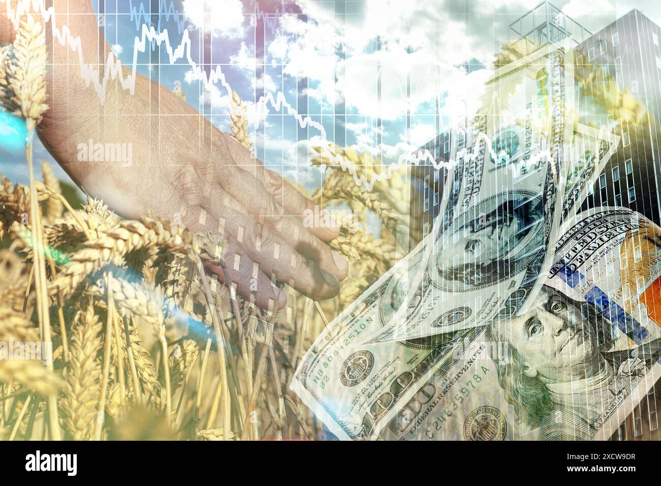 Global grain crisis. Farmer in wheat field, dollar bills, office ...