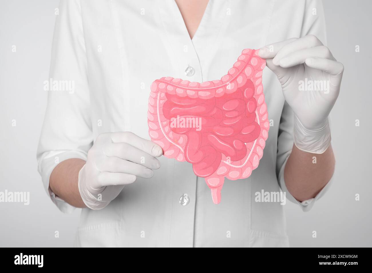 Doctor with paper intestine cutout on light grey background, closeup ...