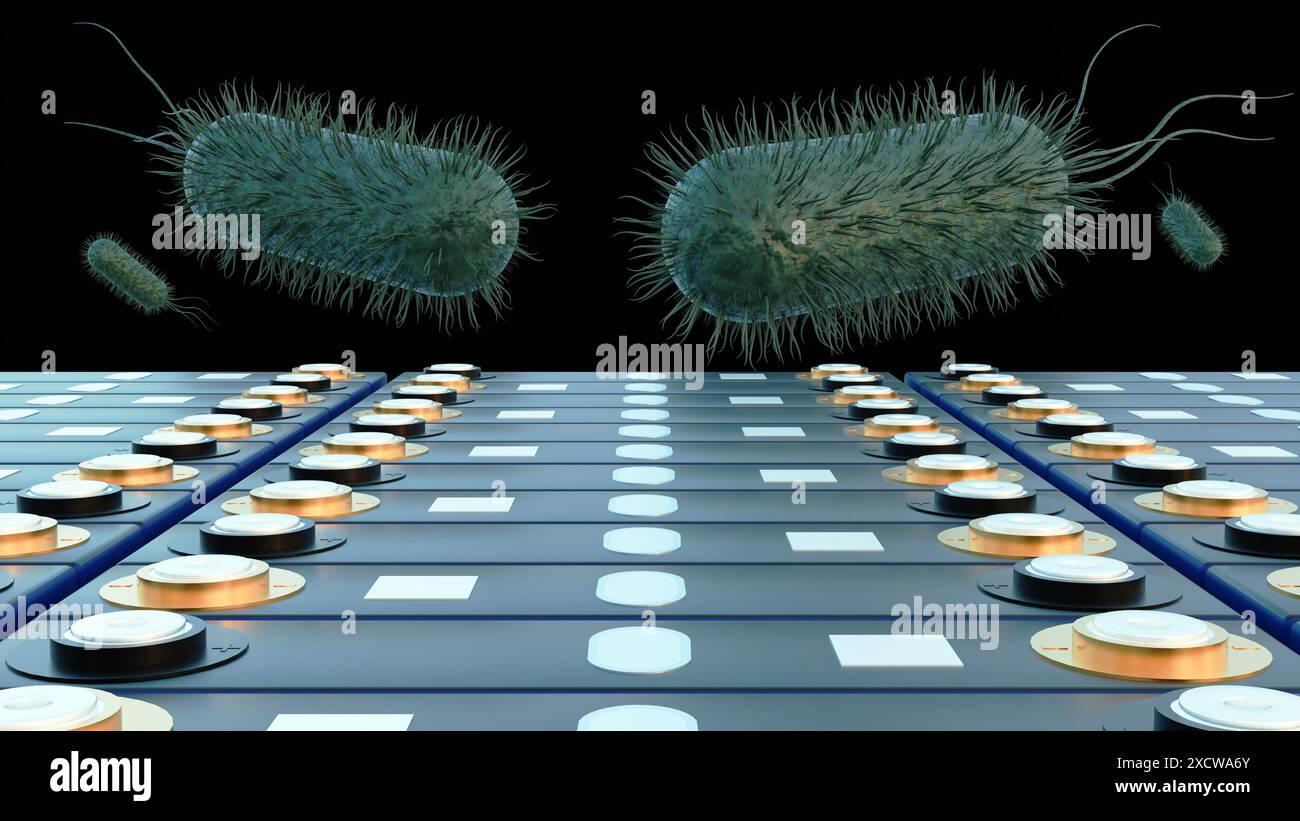 3d rendering of prismatic battery, rectangular lithium ion phosphate ...