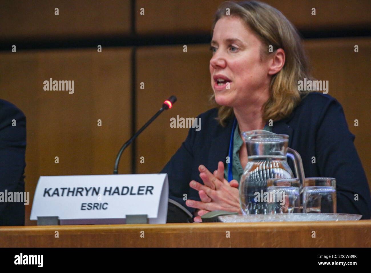 Vienna, Austria, Austria. 18th June, 2024. KATHRYN HADLER, ESRIC speaks ...