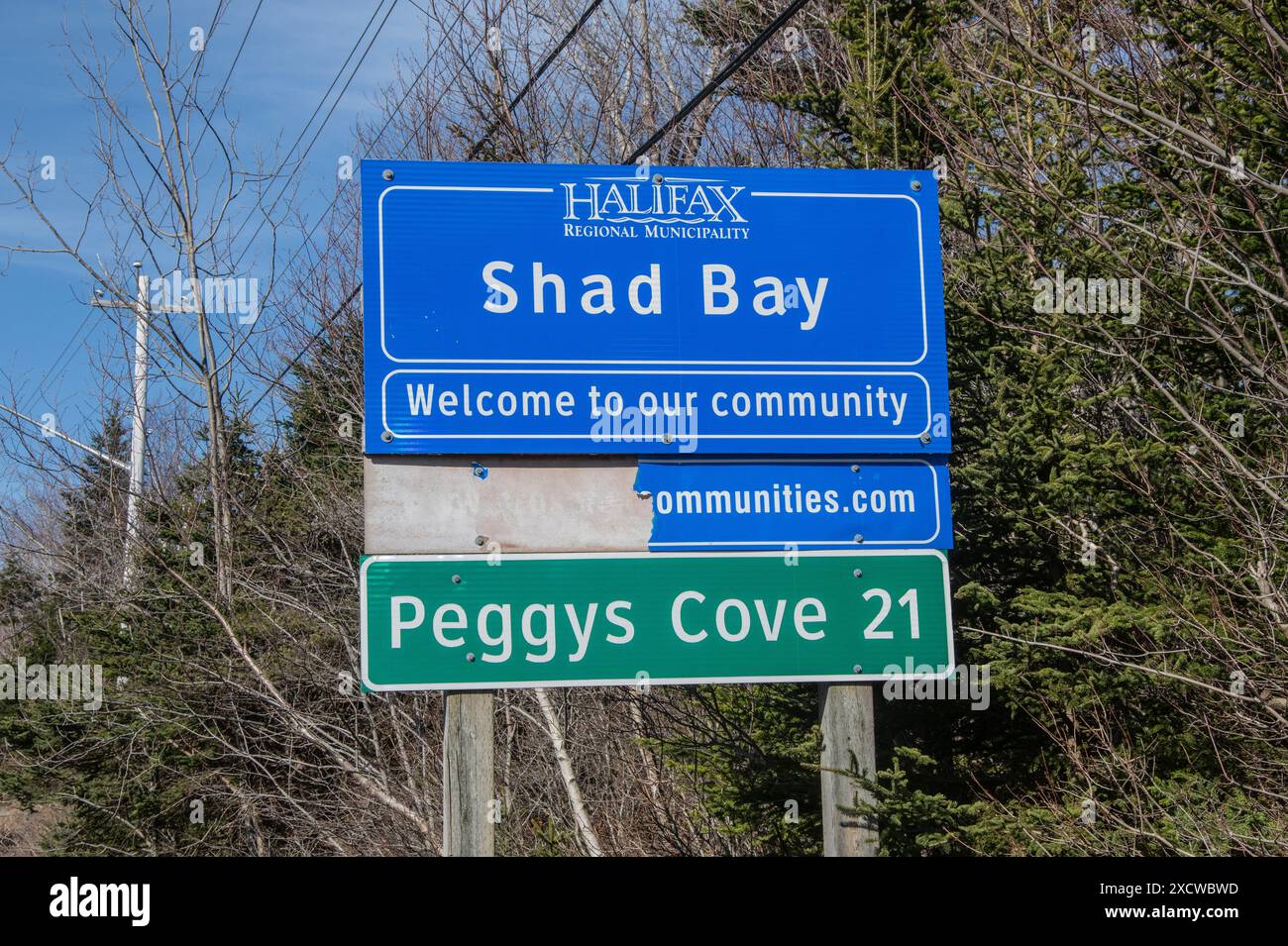 American shad hi-res stock photography and images - Alamy