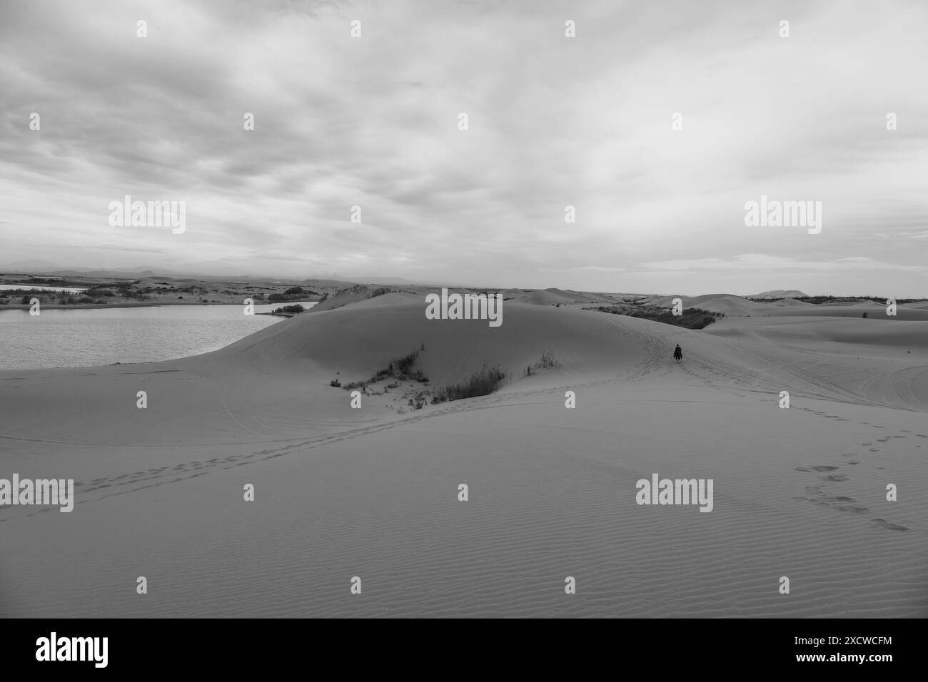 Gobi desert and the river near Wuhai, Inner Mongolia, China. Unique ...