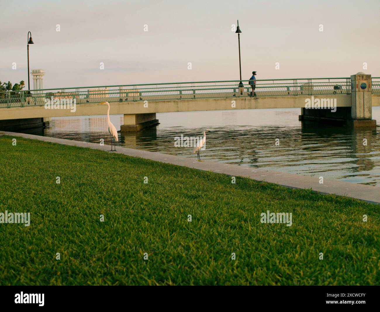 Bridge on treasure island hi-res stock photography and images - Alamy