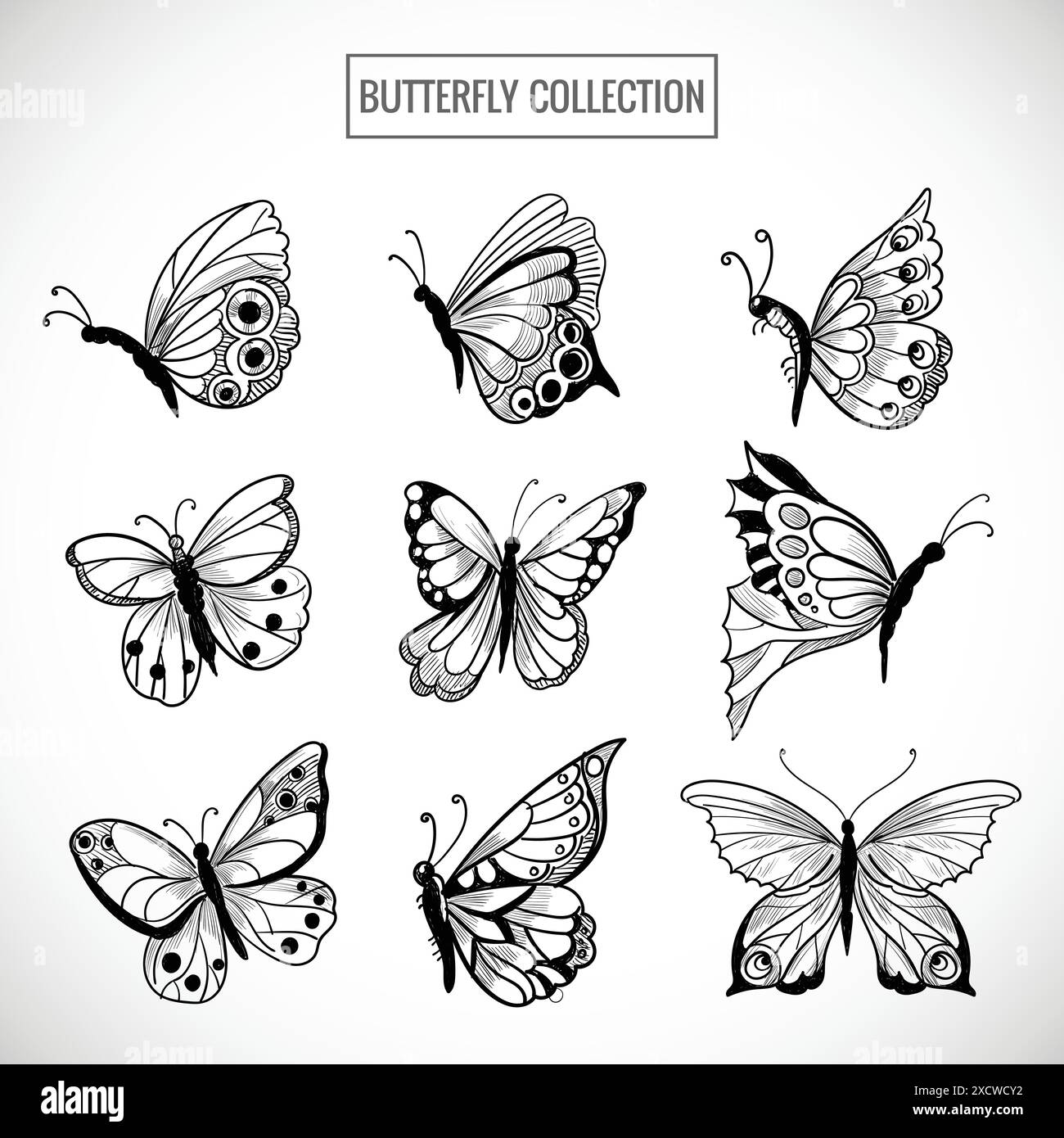 Hand draw collection of pretty butterflies design Stock Vector Image ...