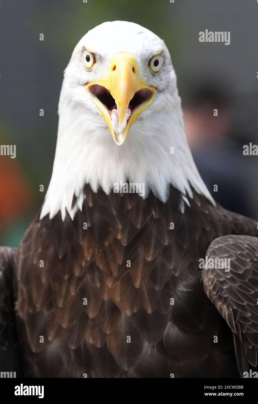 Ronald mcdonald house 2024 hi-res stock photography and images - Alamy