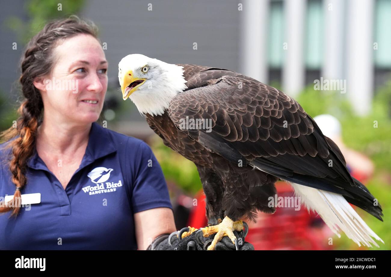 World Bird Sanctuary keeper Taryn Leach keeps a tight hold on McGwire ...