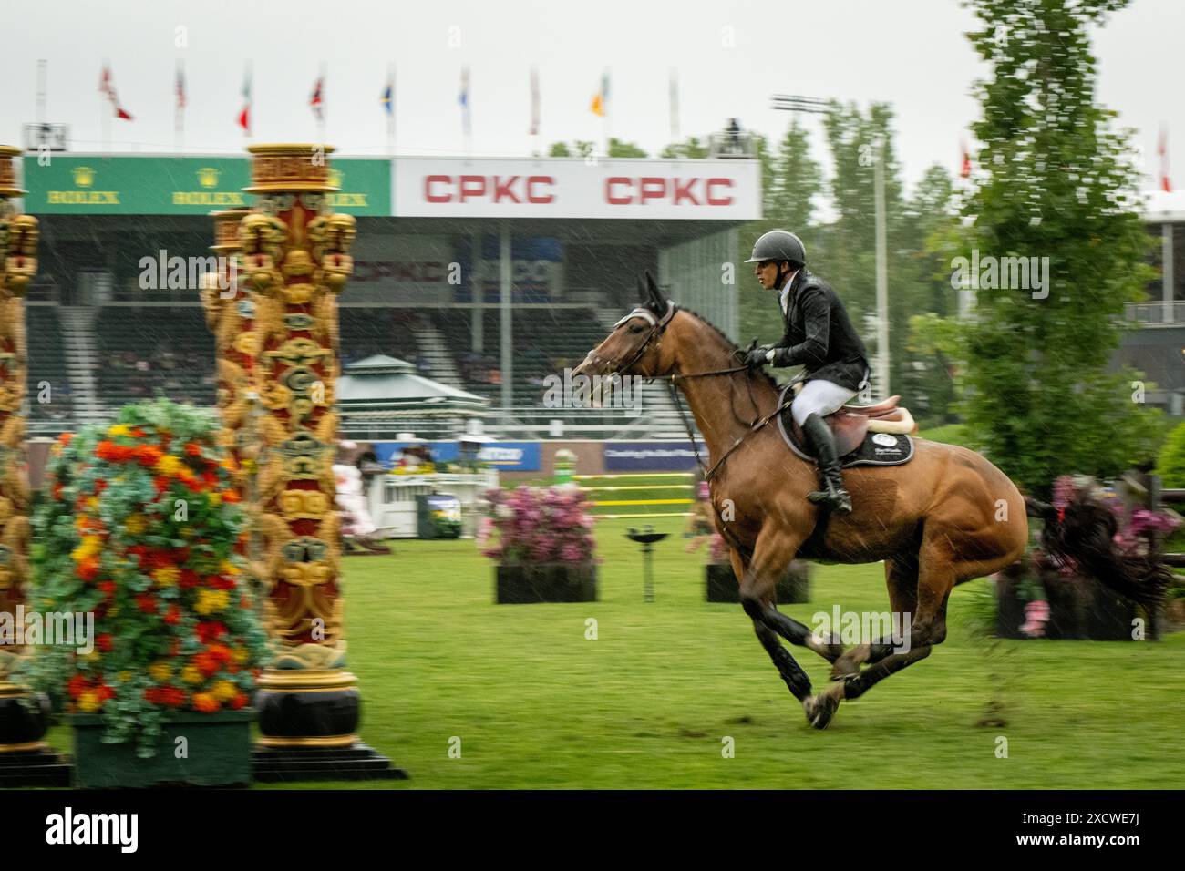 Top level sports hi-res stock photography and images - Alamy